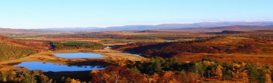 Welcome to Laggan Communities Website